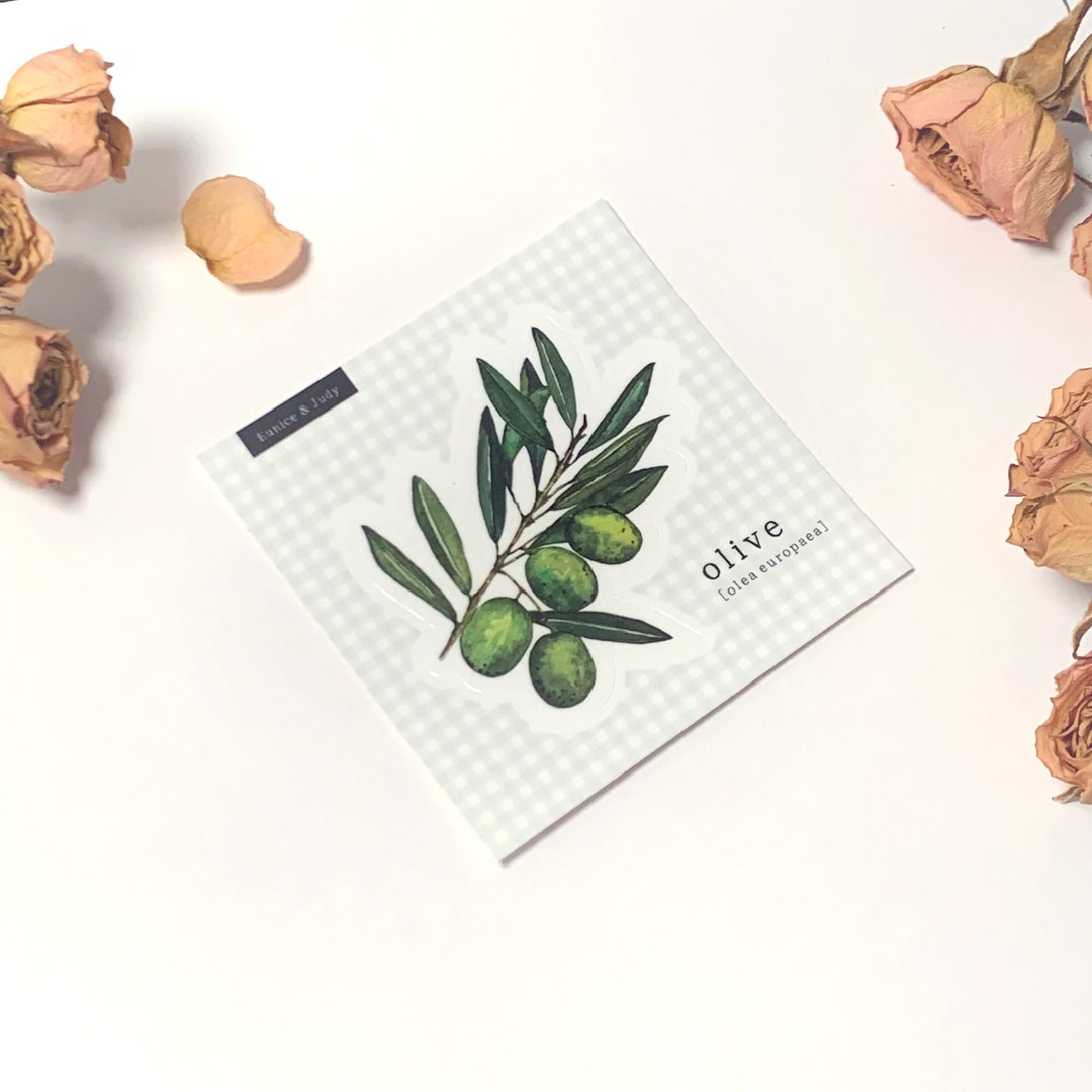Olive Branch Sticker - Etsy