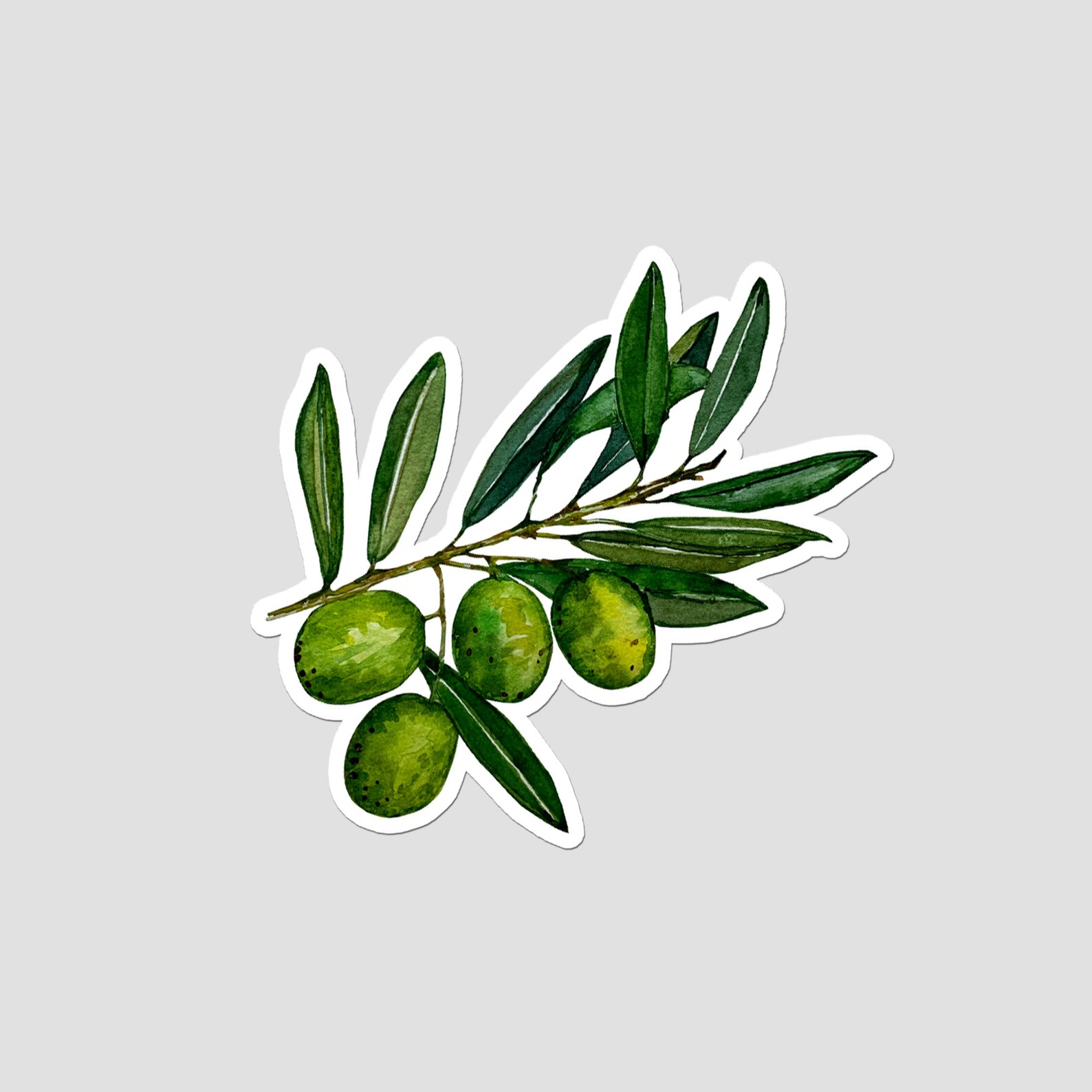 Olive Branch Sticker | Etsy