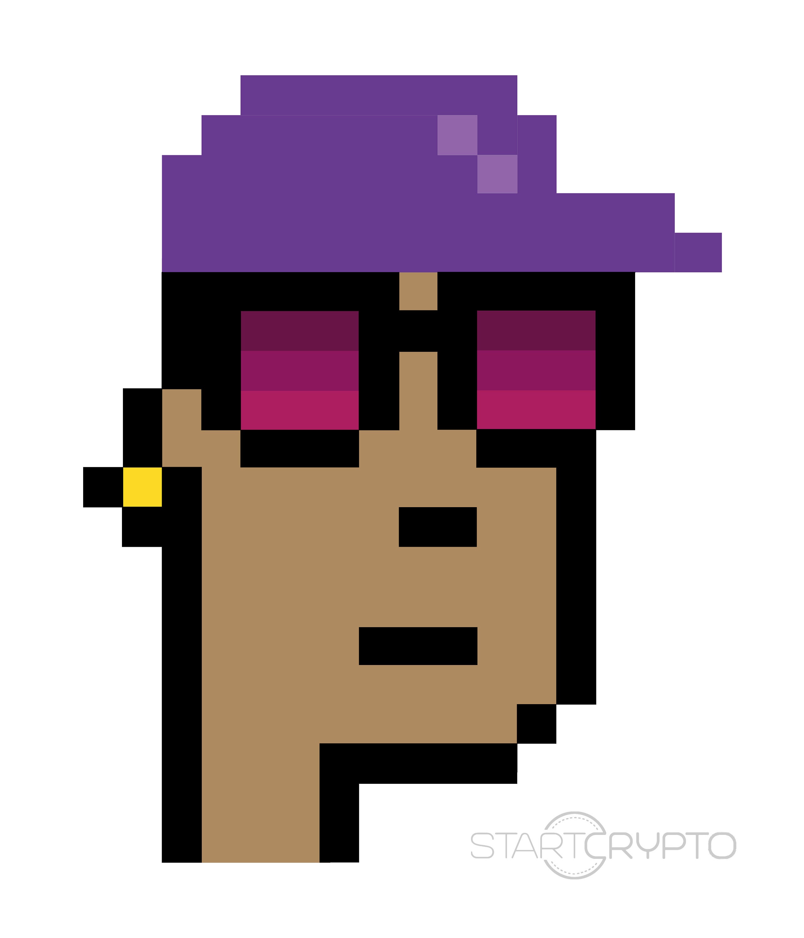 Cryptopunks 1258 crypto NFT inspiré Unisex Hoodie - Etsy France