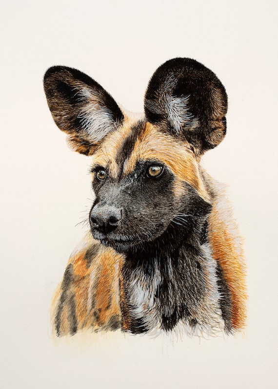 African Wild Dog A4 - Etsy