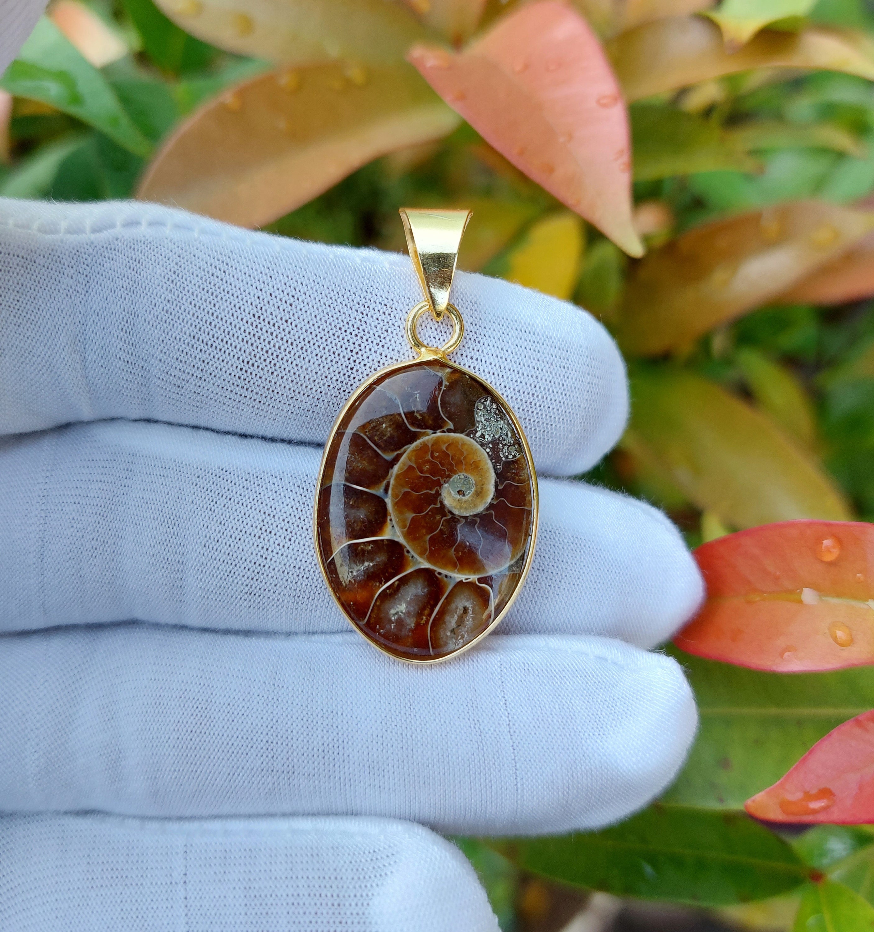 Beautiful Ammonite Fossil Shell Necklace, Real Ammonite Necklace ...