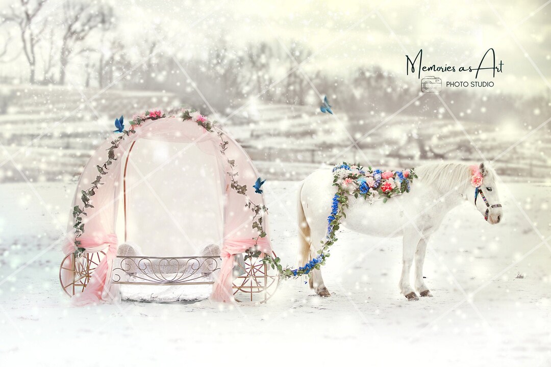 Horse and Carriage Digital Backdrop - Etsy
