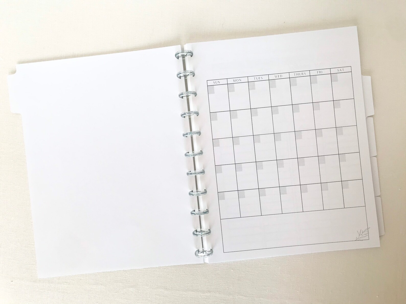 Discbound Color Street Planner for Stylists | Color Street Business ...