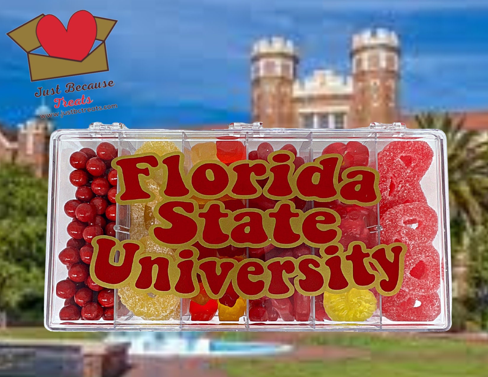 Personalized Acrylic Candy Box College, Sorority, Free Shipping - Etsy