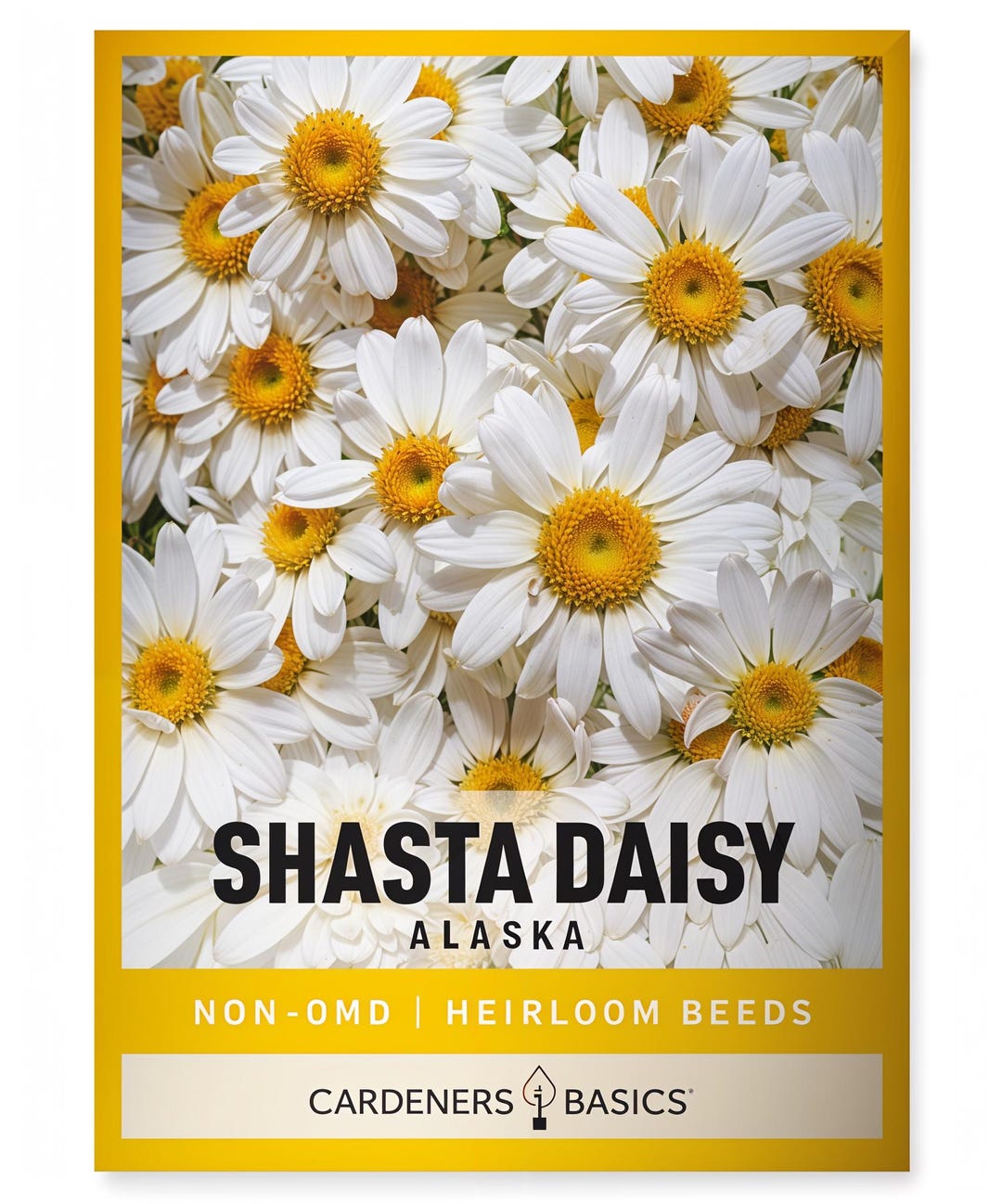 Alaska Shasta Daisy Seeds - Non-gmo, Perennial, Open-pollinated Flowers ...