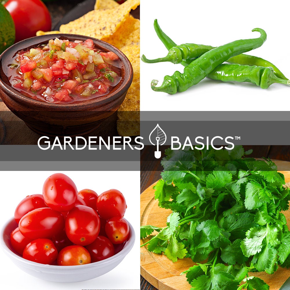 Salsa Heirloom Seed Packets 5 Pack - Roma VF Tomato, Jalapeno, Cilantro ...