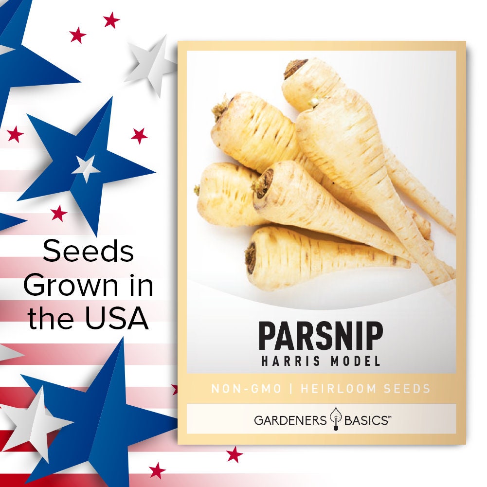 Parsnip Seeds for Planting - Harris Model Variety Vegetable Seeds ...