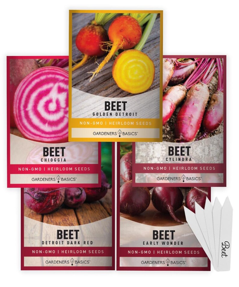 Beet Seeds for Planting | 5 Variety Pack - Etsy