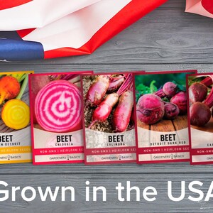 Beet Seeds for Planting | 5 Variety Pack - Etsy
