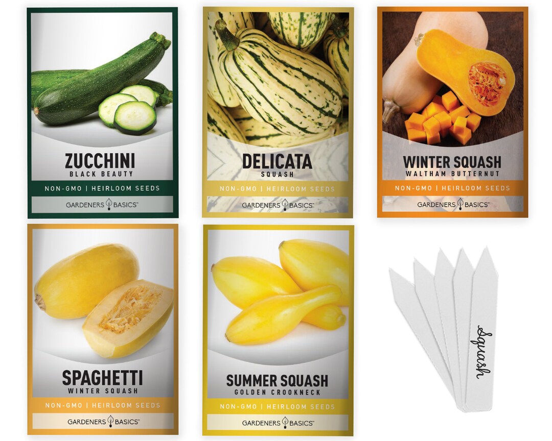 Squash Seeds for Planting 5 Pack - Delicata, Zucchini, Spaghetti ...