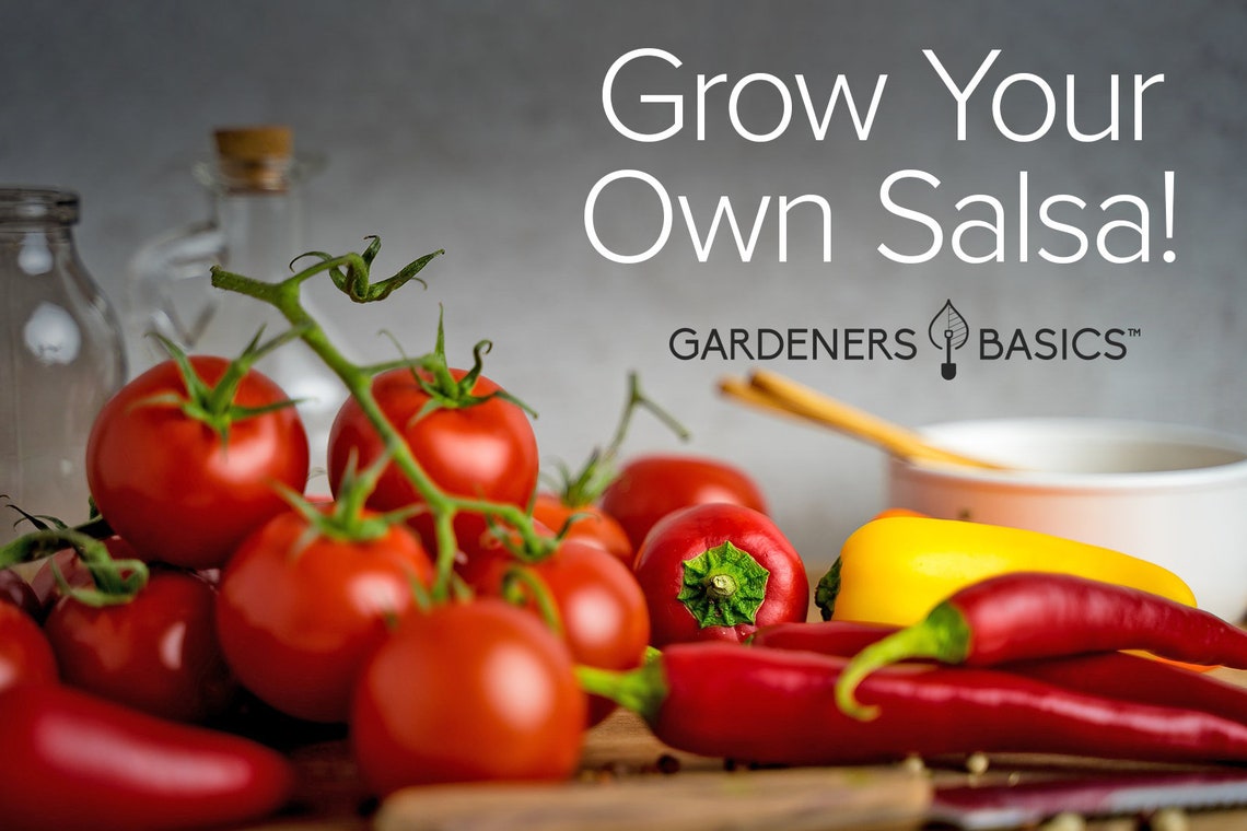 Hot Salsa Growing Seeds for Planting 8 Variety Pack - Habanero ...