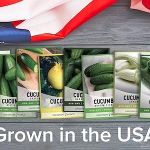 Cucumber Seed Assortment | 8 Variety Pack - Etsy