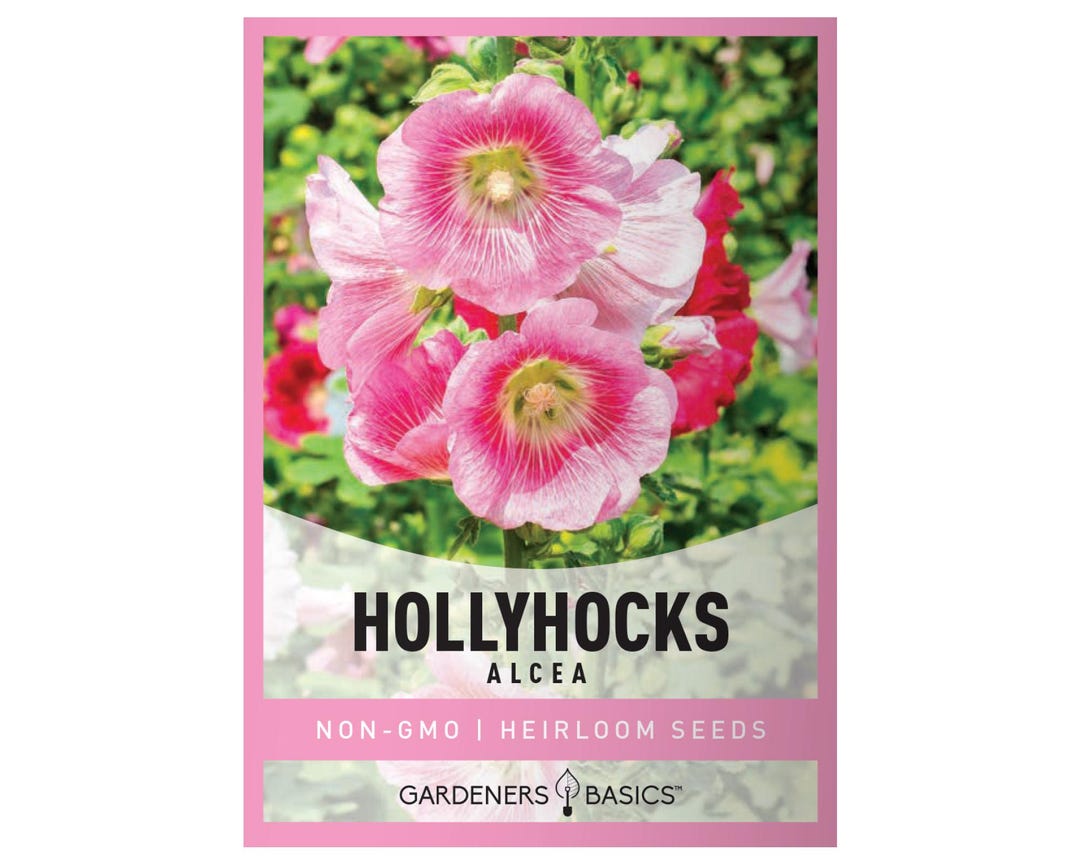 Alcea Hollyhocks Seeds for Planting - Heirloom, Non-gmo Seeds for ...