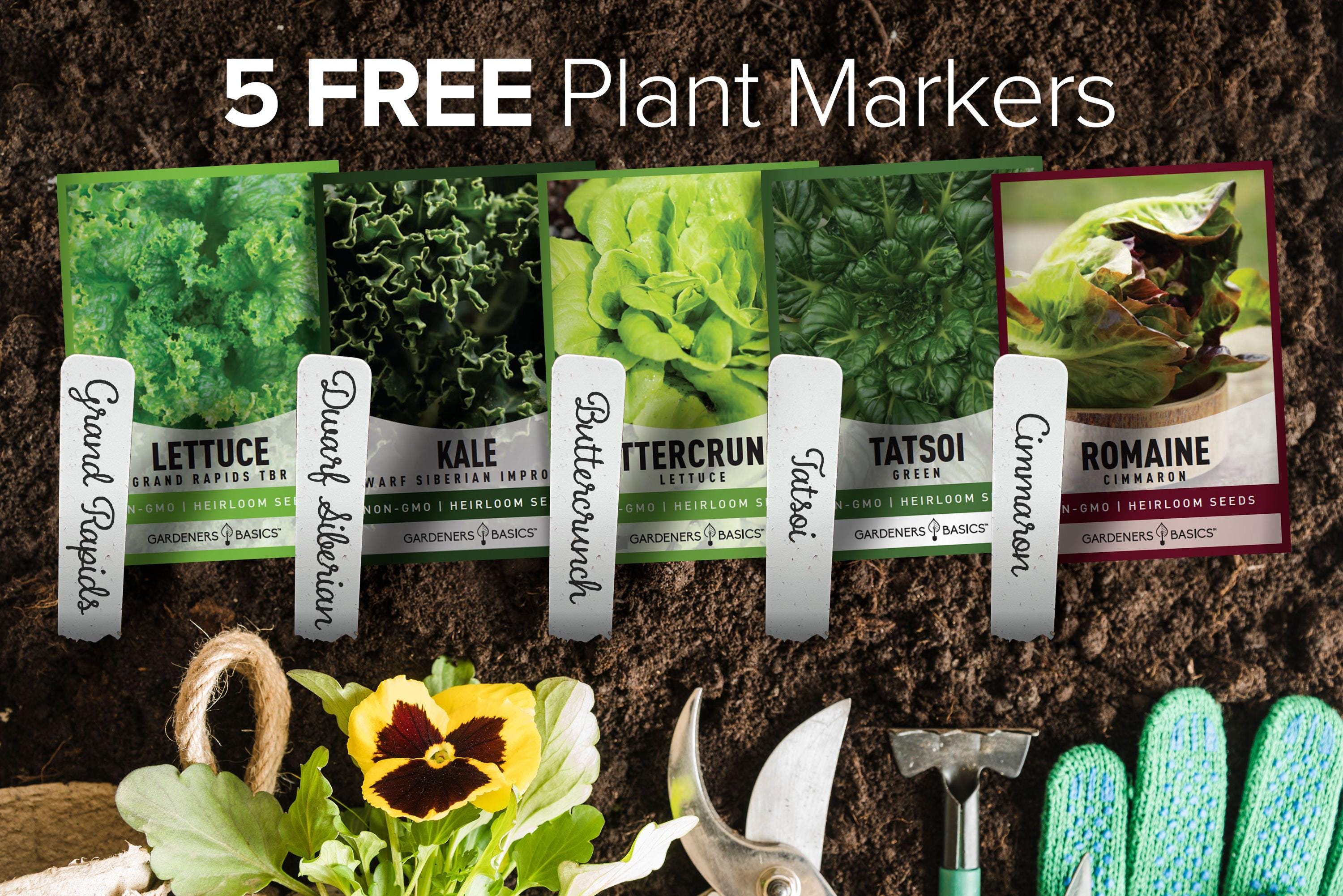 Hydroponic Seeds for Planting | 5 High-quality Varieties - Etsy