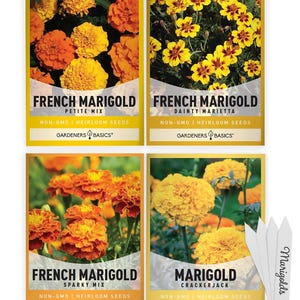 Marigold Seeds for Planting | 4 Variety Pack - Etsy