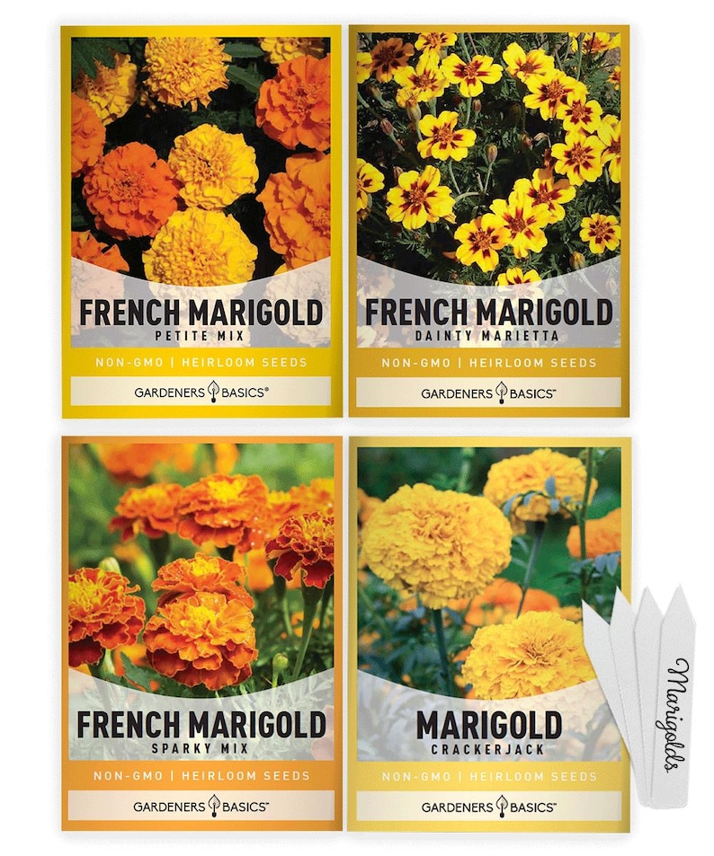 Marigold Seeds for Planting | 4 Variety Pack - Etsy