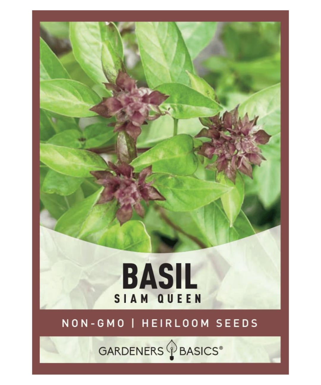 Siam Queen Basil Seeds - Etsy