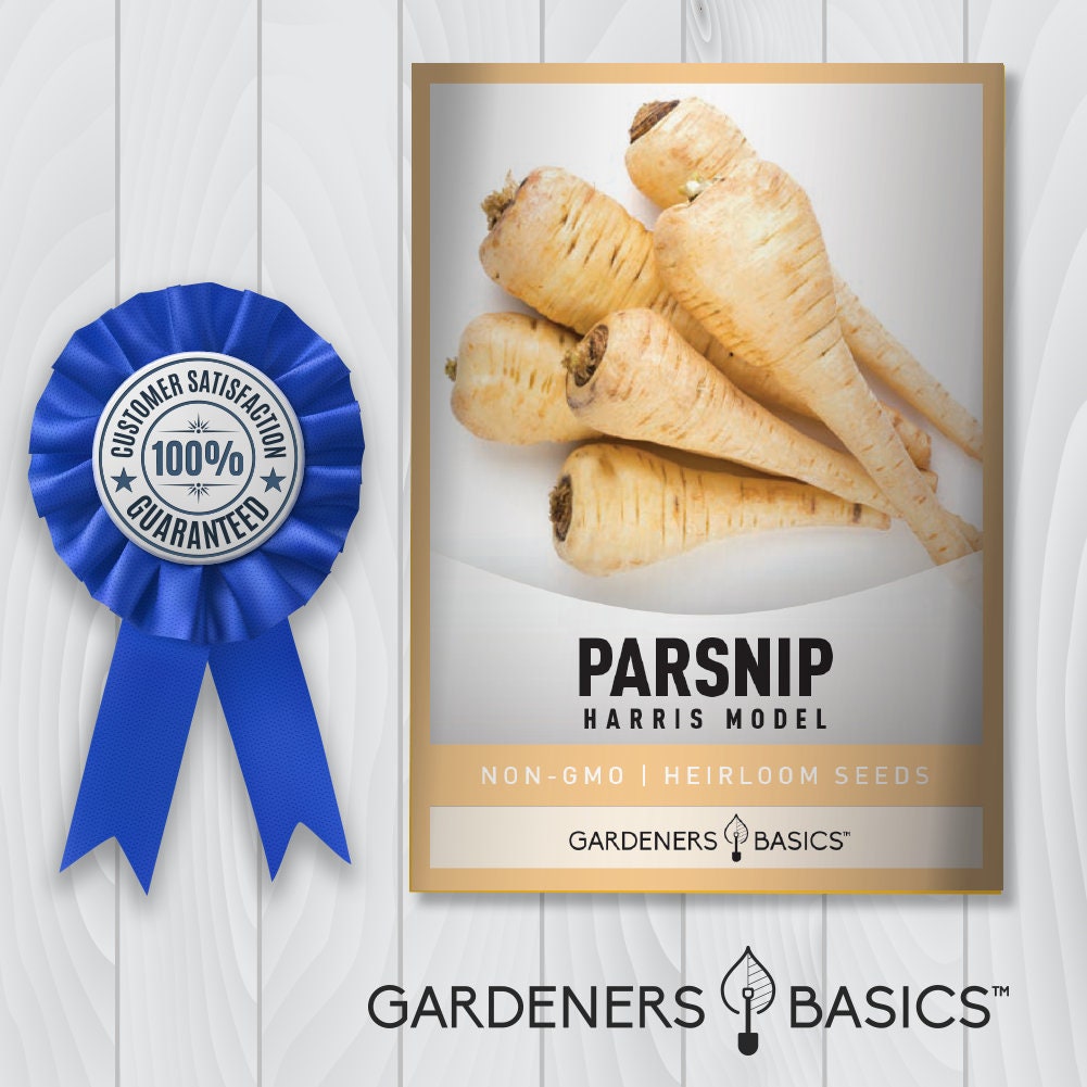 Parsnip Seeds for Planting - Harris Model Variety Vegetable Seeds ...