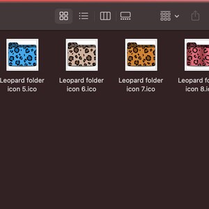 Leopard Desktop Folder Icon for MAC and WINDOWS | Folder Icon | Leopard ...