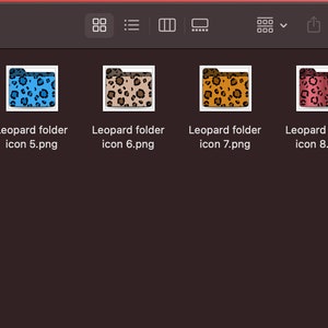 Leopard Desktop Folder Icon for MAC and WINDOWS | Folder Icon | Leopard ...