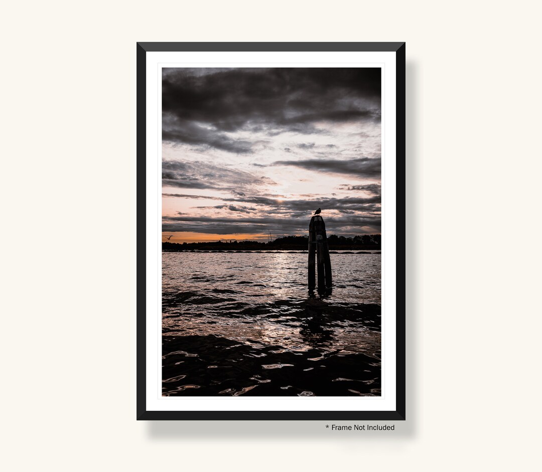 Lone Bird - Etsy