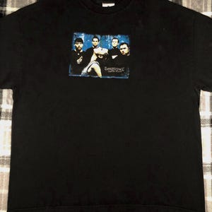Evanescence - Vintage - Fallen 2003 - Hard Rock Band T Shirt - Size XXL ...