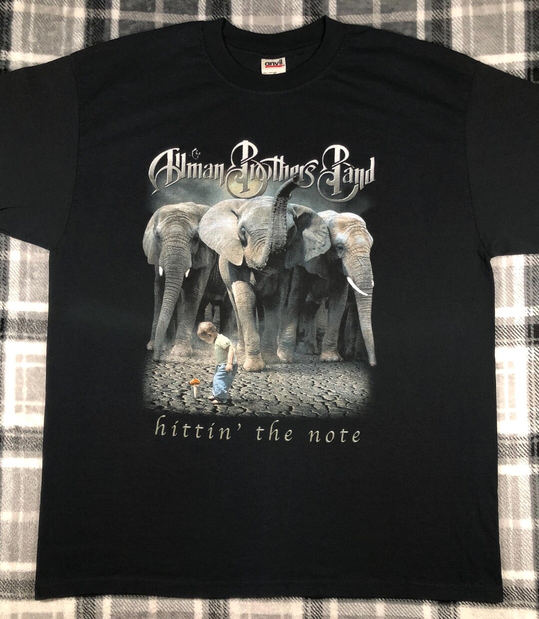 The Allman Brothers Band - Vintage - Hittin’ the Note - NYC Beacon ...