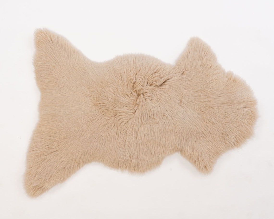 Sheepskin "dyed Cappuccino" Real Sheep Skin, Decorative Rug ...