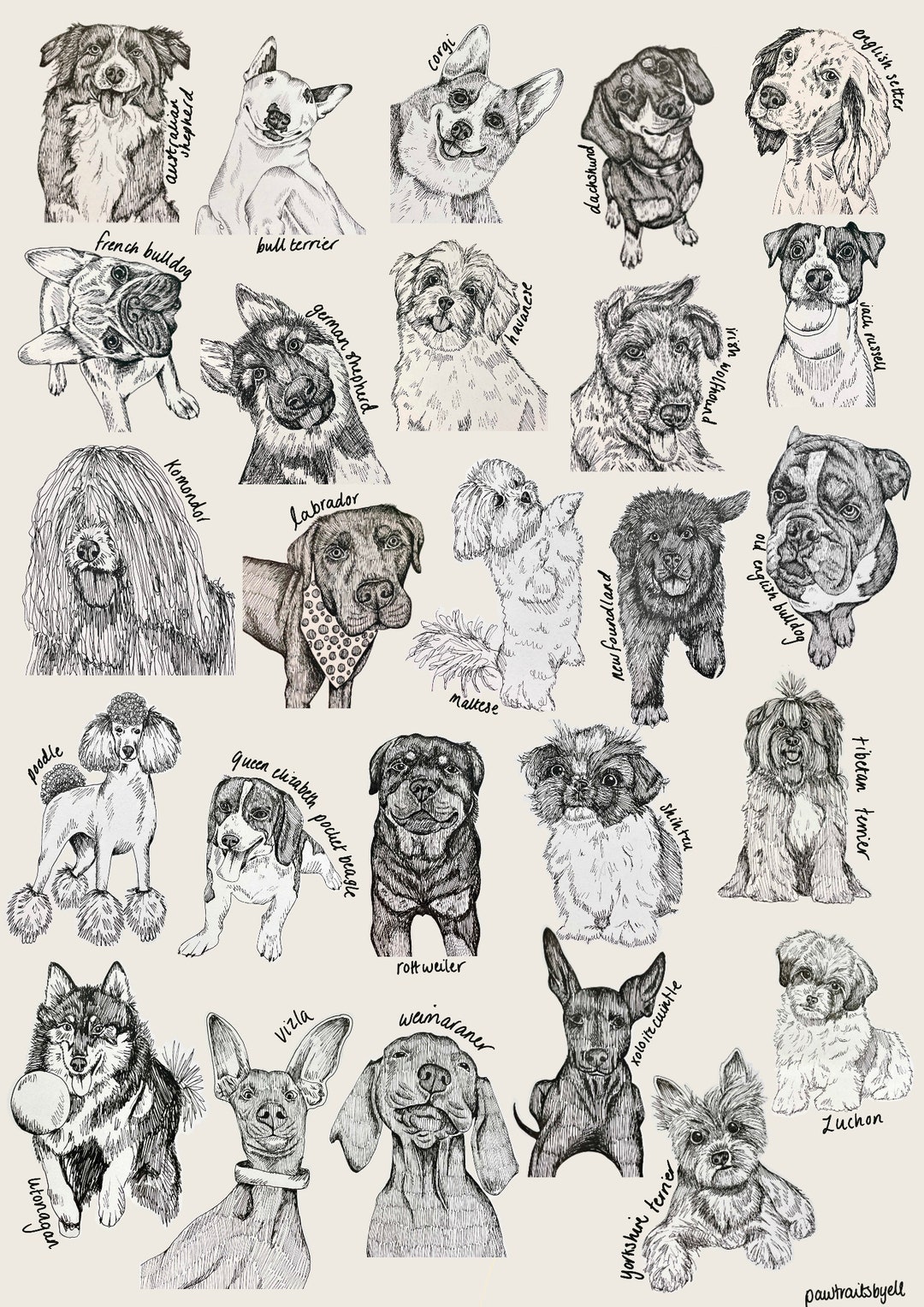 Dog Alphabet A3 Print - Etsy