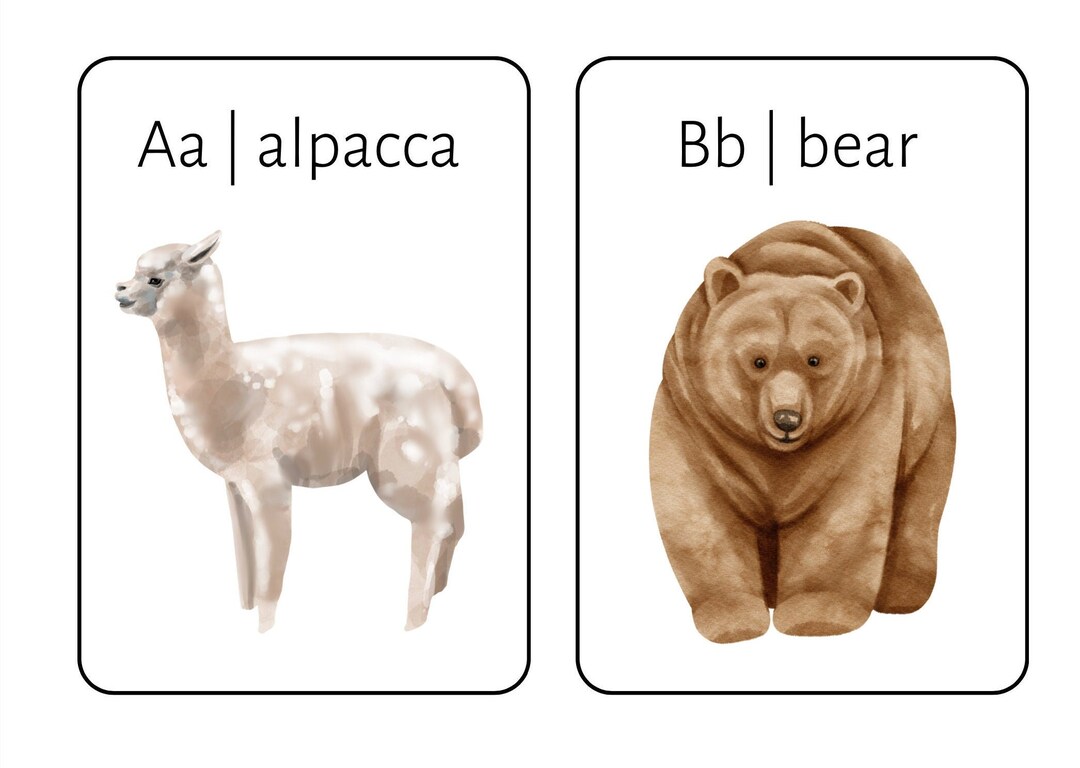 Animal Alphabet Display Cards - Etsy