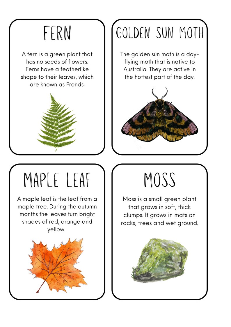 Nature Flash Cards Region Emilia Inspired - Etsy