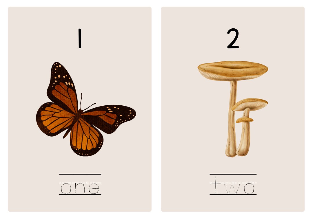 Nature Numbers 1-10 Reggio Emilia Inspired - Etsy