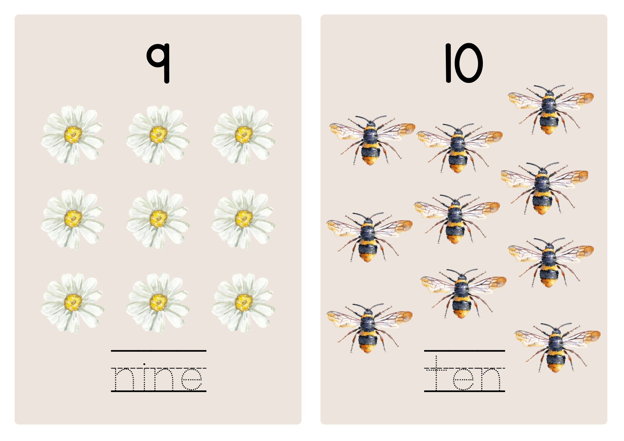 Nature Numbers 1-10 Reggio Emilia Inspired - Etsy