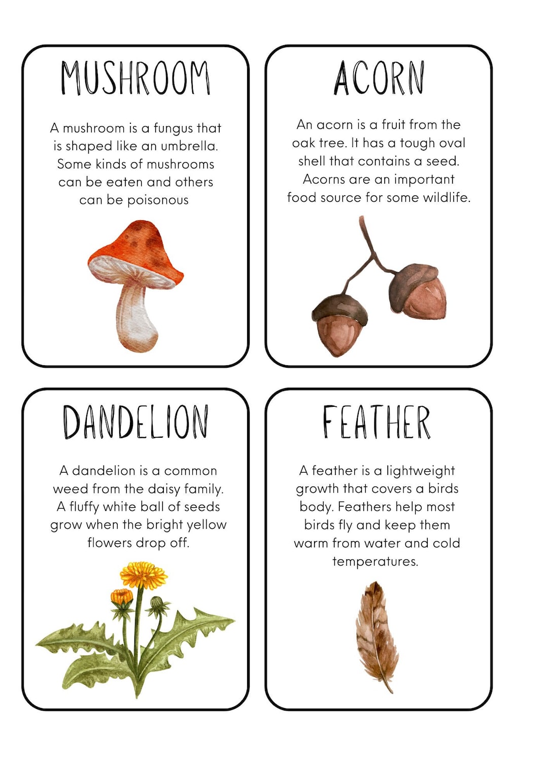 Nature Flash Cards Region Emilia Inspired - Etsy