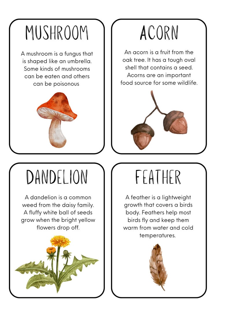 Nature Flash Cards Region Emilia Inspired - Etsy