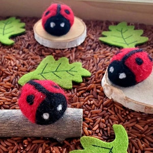 Felt Ladybug / Ladybugs / Felted Ladybugs / Ladybird / Lady - Etsy