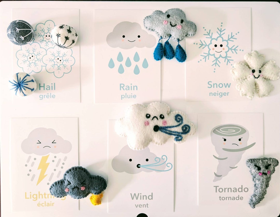 Felt Weather Set Matching Flash Cards / Weather Station Set / Weather ...