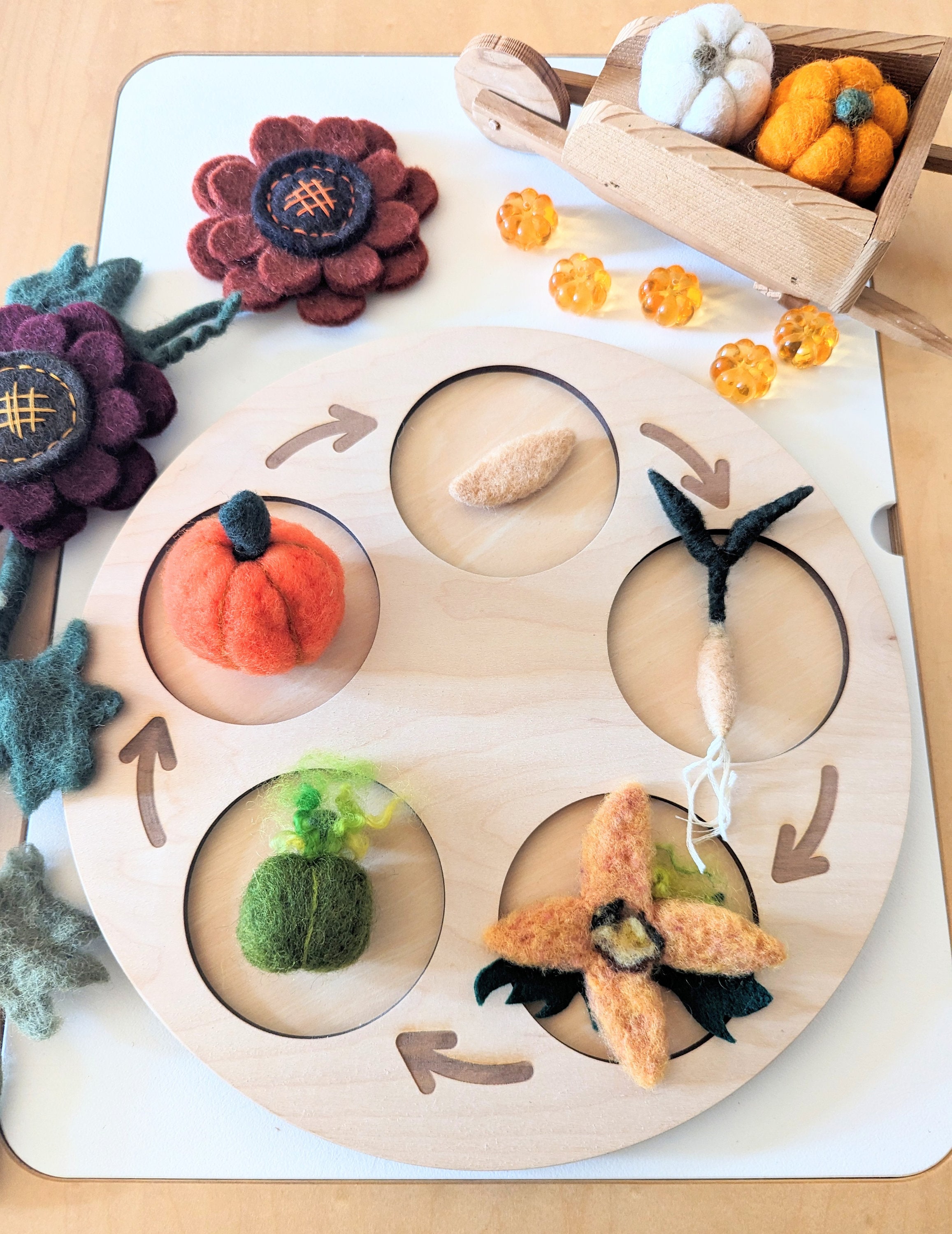 Montessori Lifecycles Wooden Play Tray 4 & 5 Stages Double Sided / Wood ...