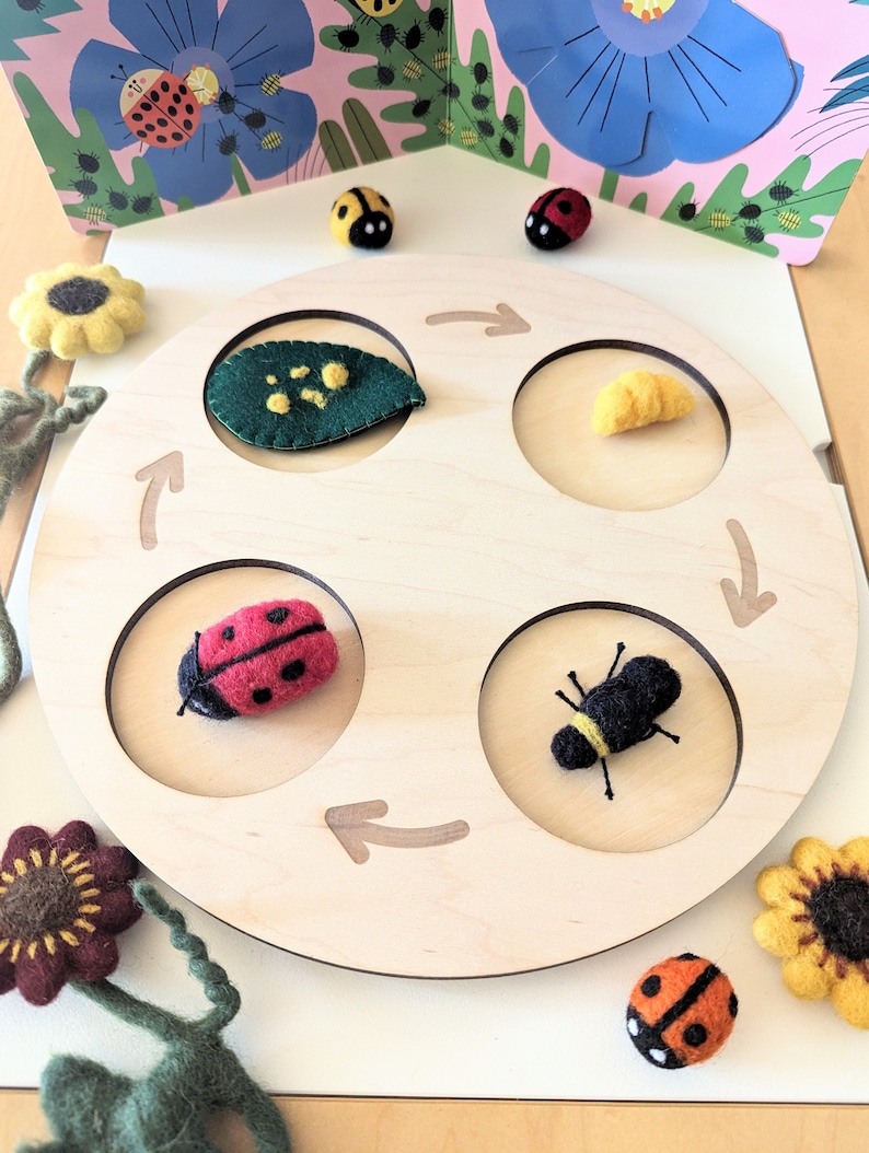 Montessori Lifecycles Wooden Play Tray 4 & 5 Stages Double Sided / Wood ...