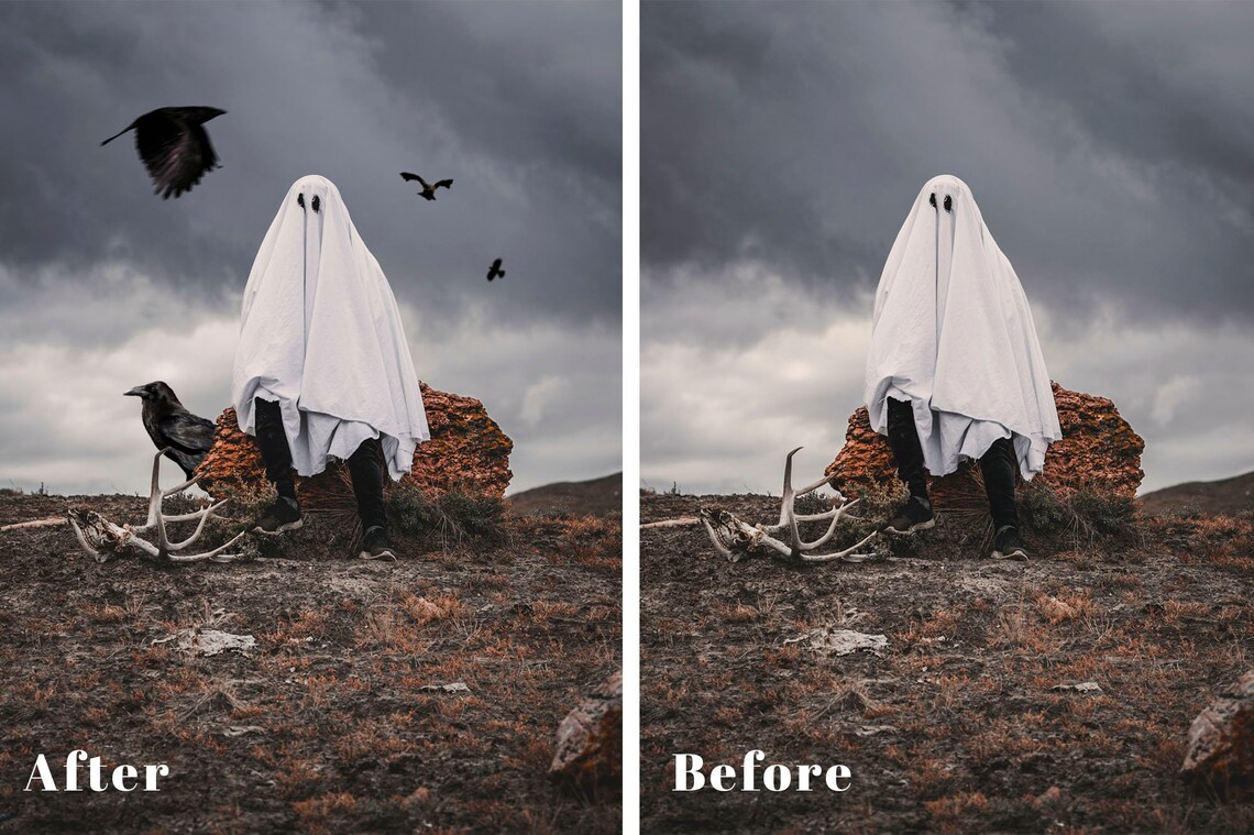 CROWS OVERLAYS, Photoshop Overlays, Crow, Crow Overlays, Birds Overlays ...