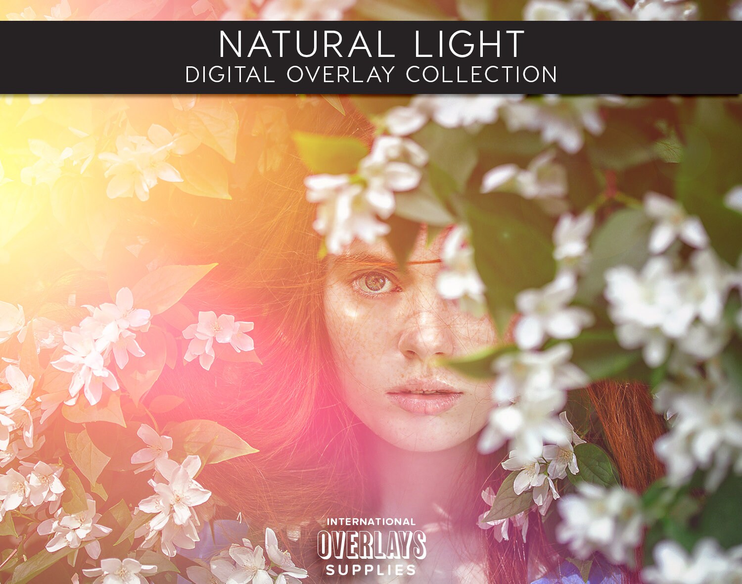 35 NATURAL LIGHT Digital Overlays, Photoshop Overlays, JPG Files ...