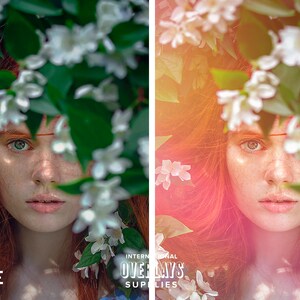35 NATURAL LIGHT Digital Overlays, Photoshop Overlays, JPG Files ...