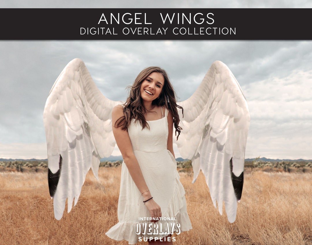 WINGS OVERLAYS, Photoshop Overlays, White Wings, Angel Wings Overlays ...