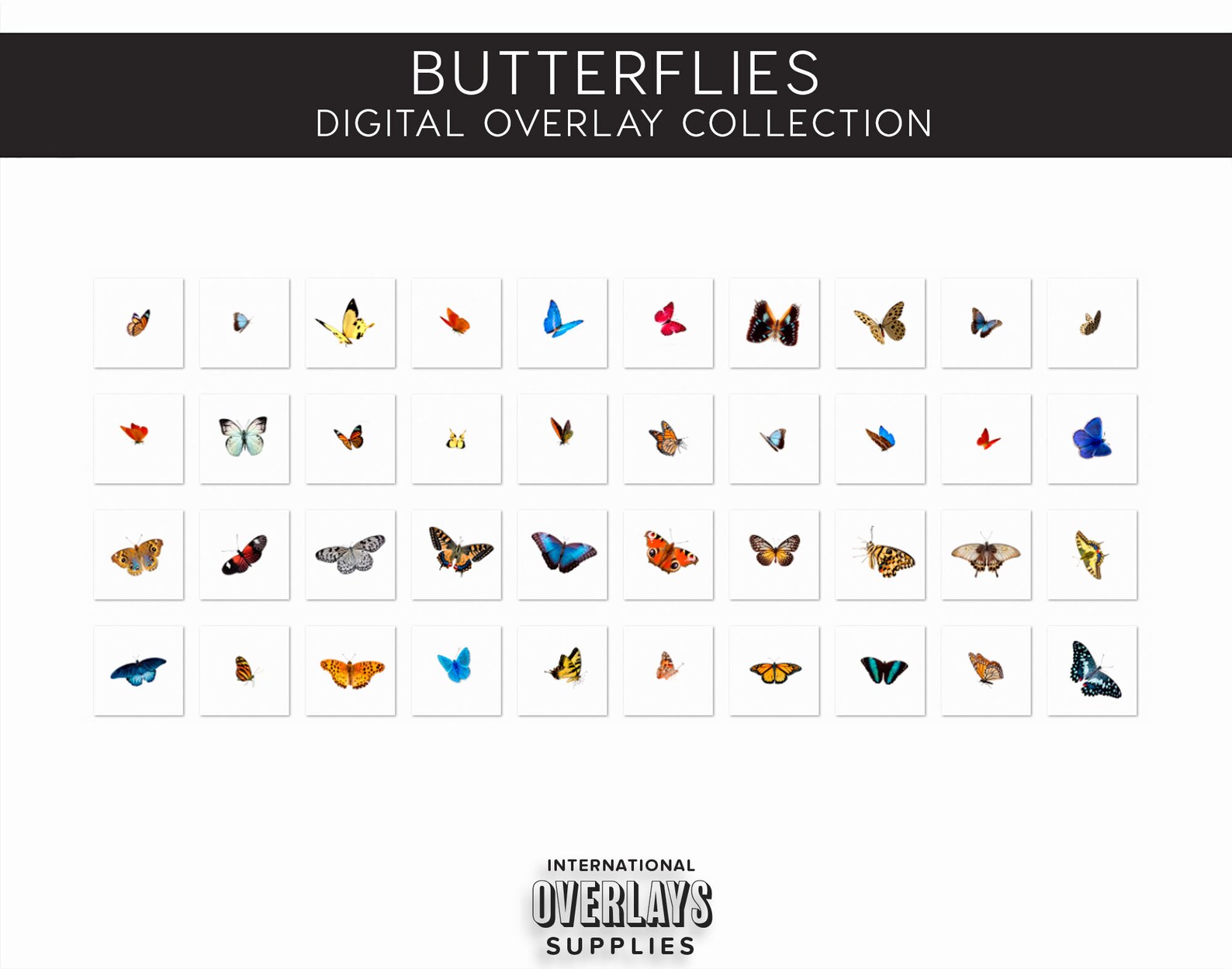 BUTTERFLIES OVERLAYS, Photoshop Overlays, Butterfly, Butterfly Overlay ...