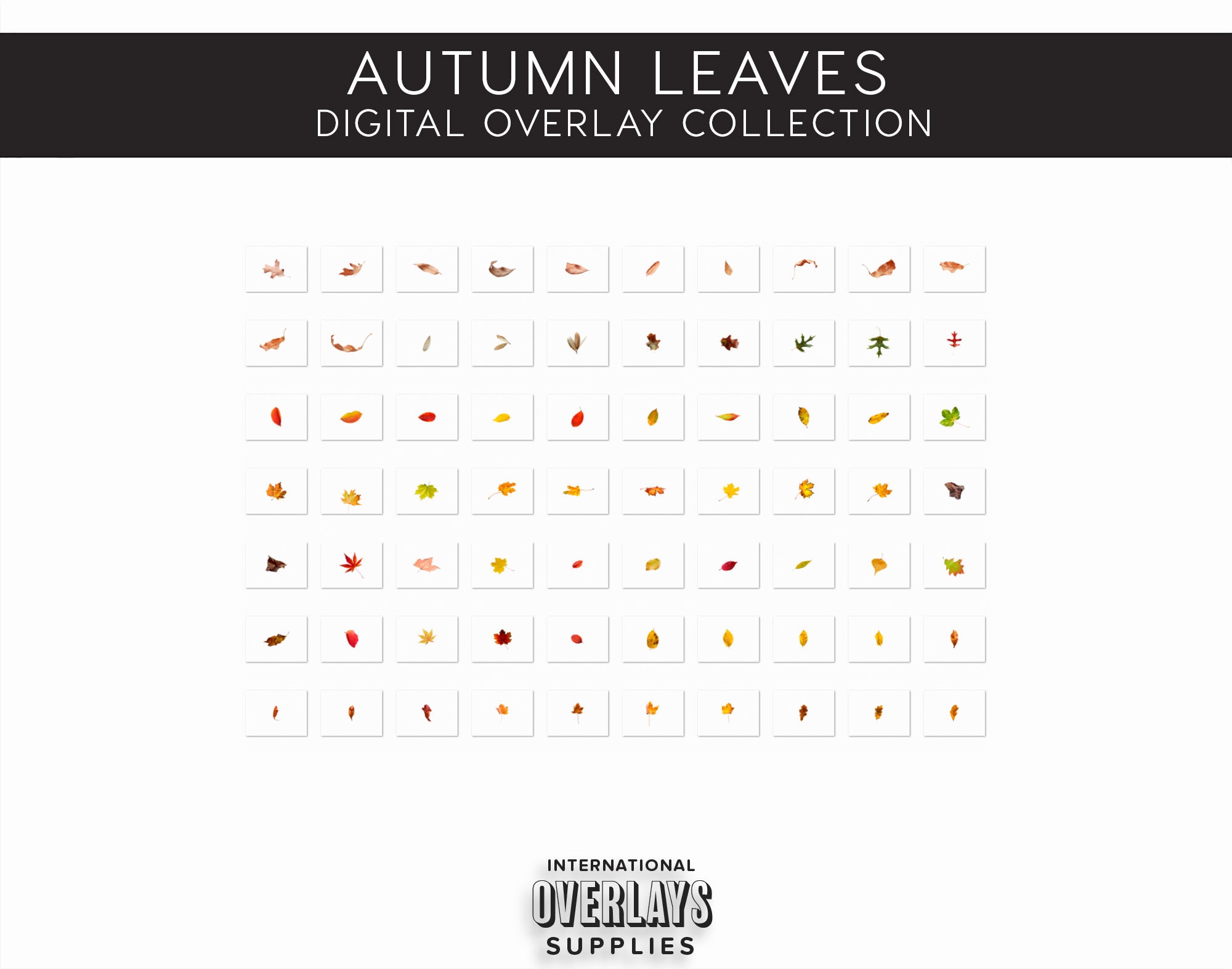 AUTUMN LEAVES OVERLAYS, Flying Leaves, Photoshop Overlays, Leaves ...