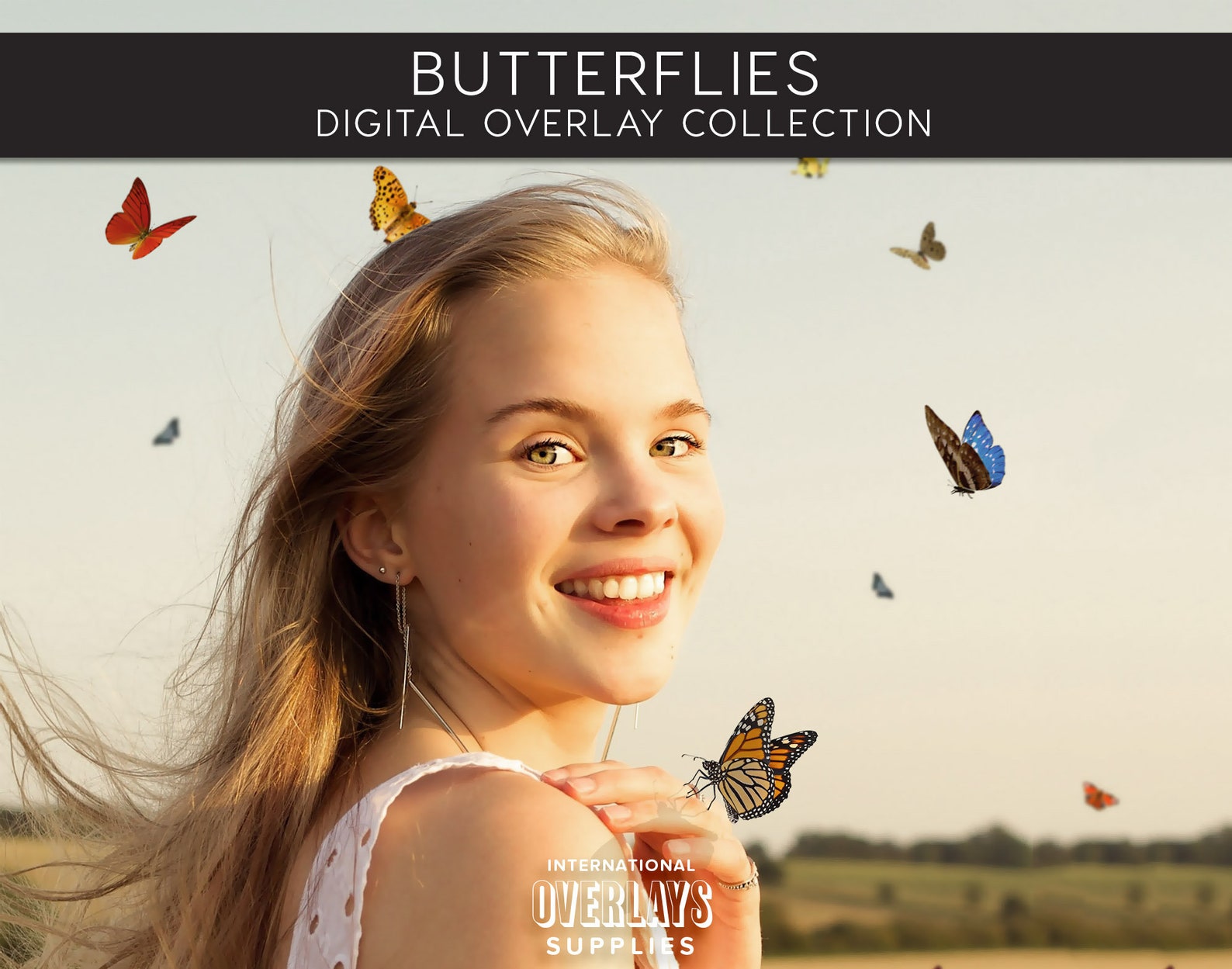 BUTTERFLIES OVERLAYS, Photoshop Overlays, Butterfly, Butterfly Overlay ...
