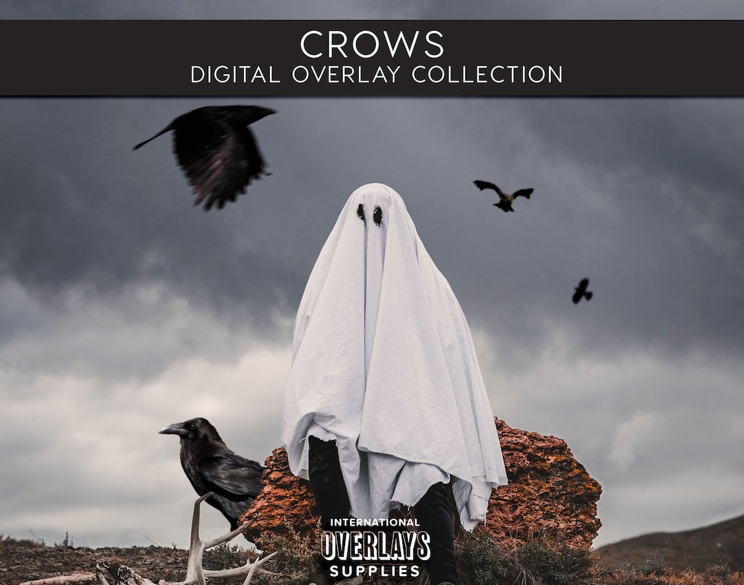 CROWS OVERLAYS, Photoshop Overlays, Crow, Crow Overlays, Birds Overlays ...