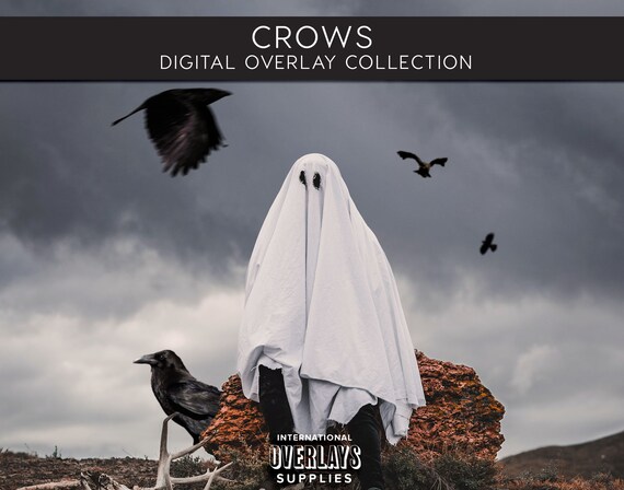 CROWS OVERLAYS Photoshop Overlays Crow Crow Overlays Birds - Etsy