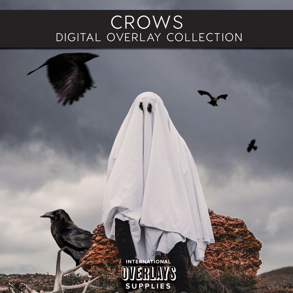 Crow Overlays - Etsy