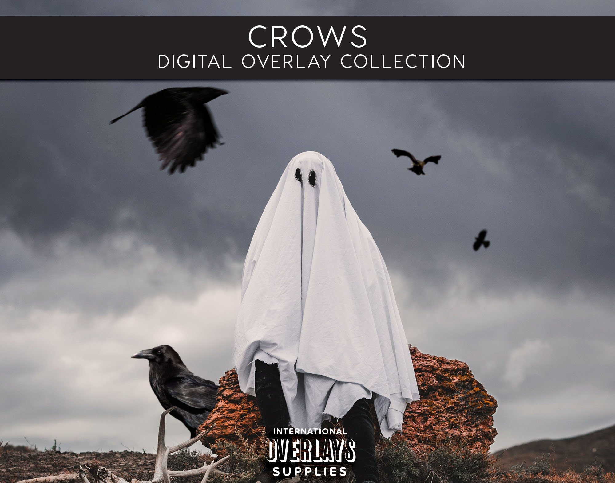 CROWS OVERLAYS, Photoshop Overlays, Crow, Crow Overlays, Birds Overlays ...